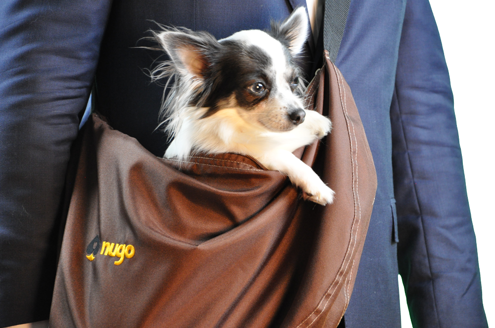 Nugobags - designed for dogs with love